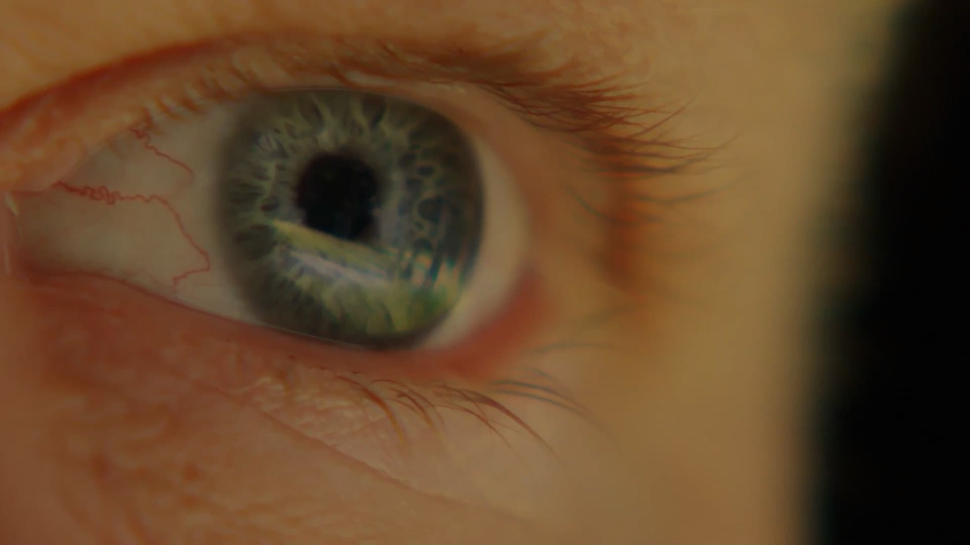 Viiala — Cross Over. Beyond Return.